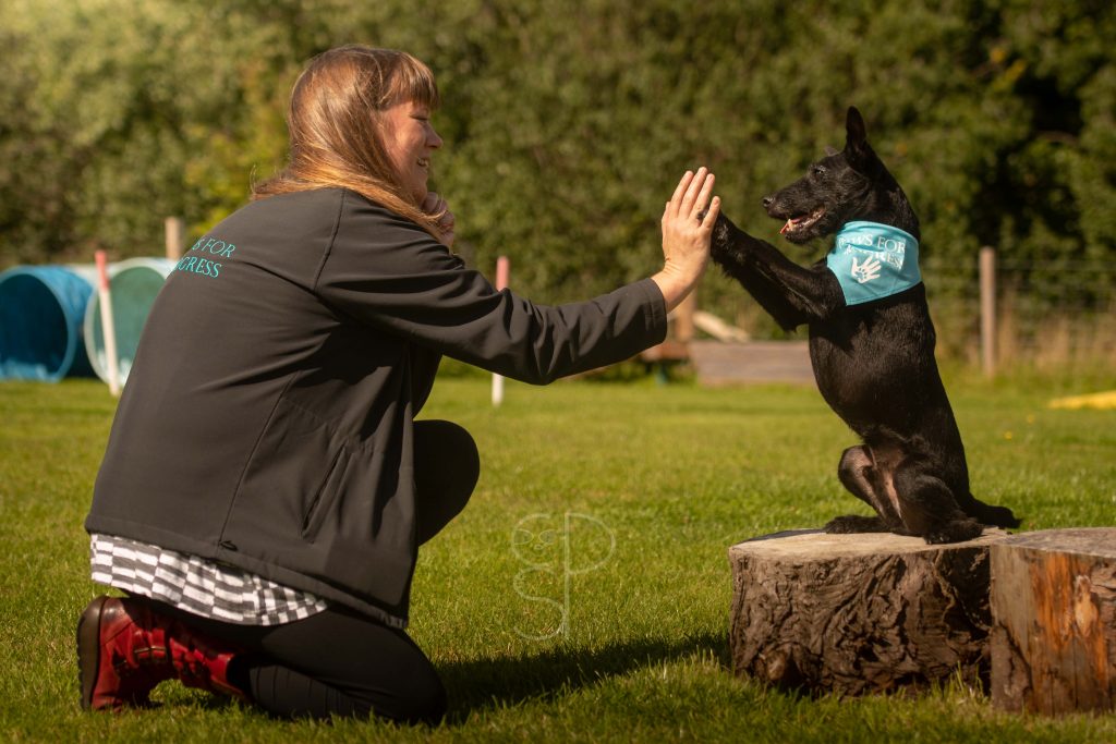 Paws for Progress | University of Stirling Blog