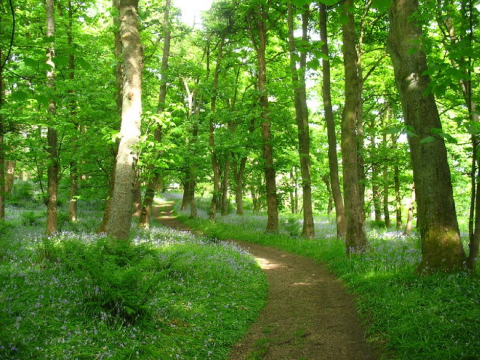 Your Favourite Hiking Spots Around Stirling | University of Stirling Blog