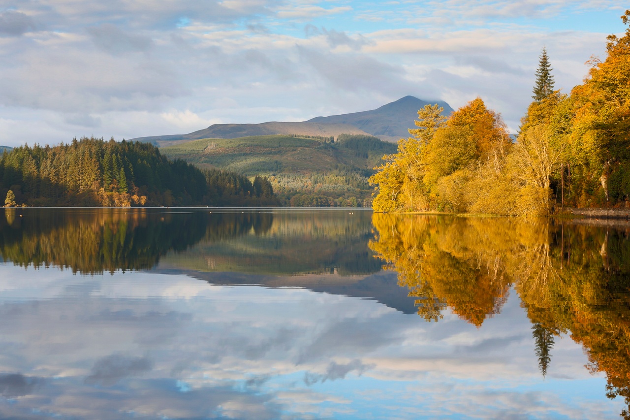 Take a dip into Scottish waters: The ultimate introduction to wild ...